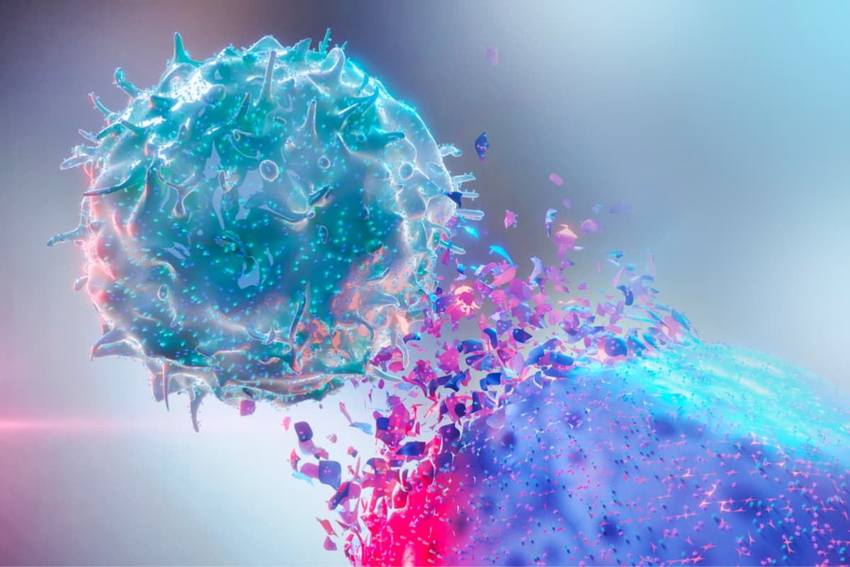 Tumor-Infiltrating Lymphocytes extraction by BIOMEDICA CRO